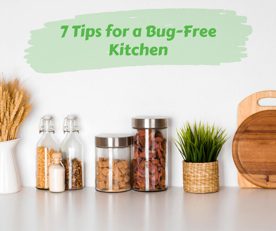 7 Tips for a Bug-Free Kitchen – Maggie's Farm Ltd