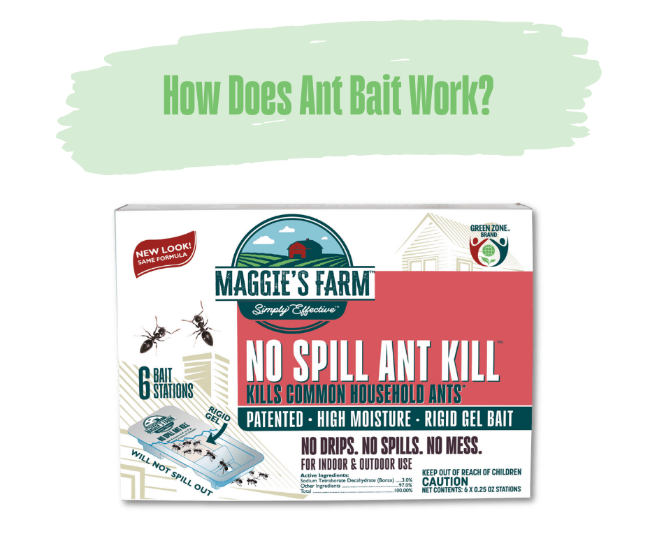 How Does Ant Bait Work? – Maggie's Farm Ltd