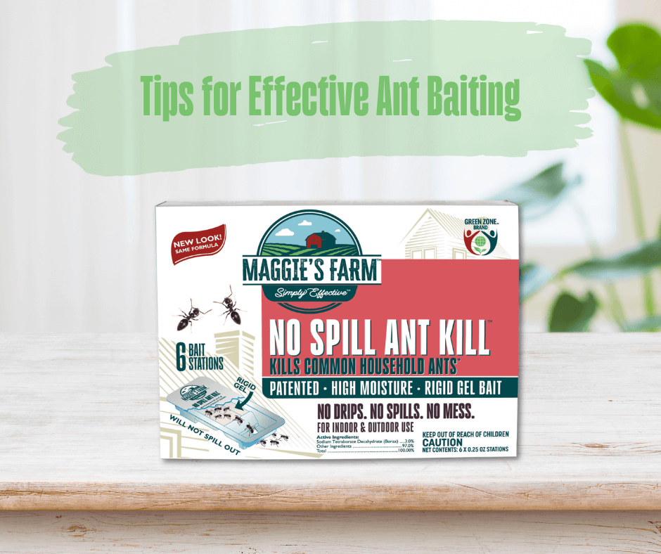 Tips for Effective Ant Baiting – Maggie's Farm Ltd