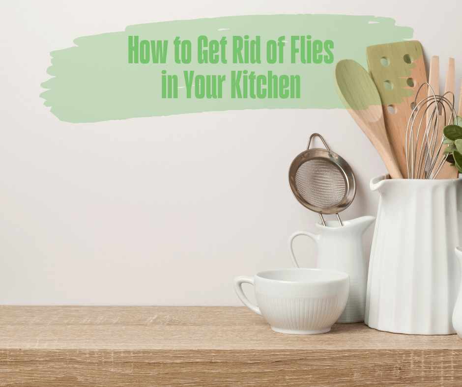 How to Get Rid of Flies in Your Kitchen – Maggie's Farm Ltd