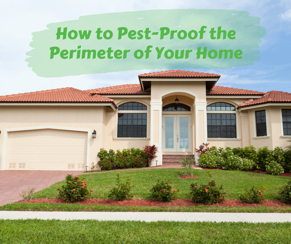 How to Pest-Proof the Perimeter of Your Home – Maggie's Farm Ltd