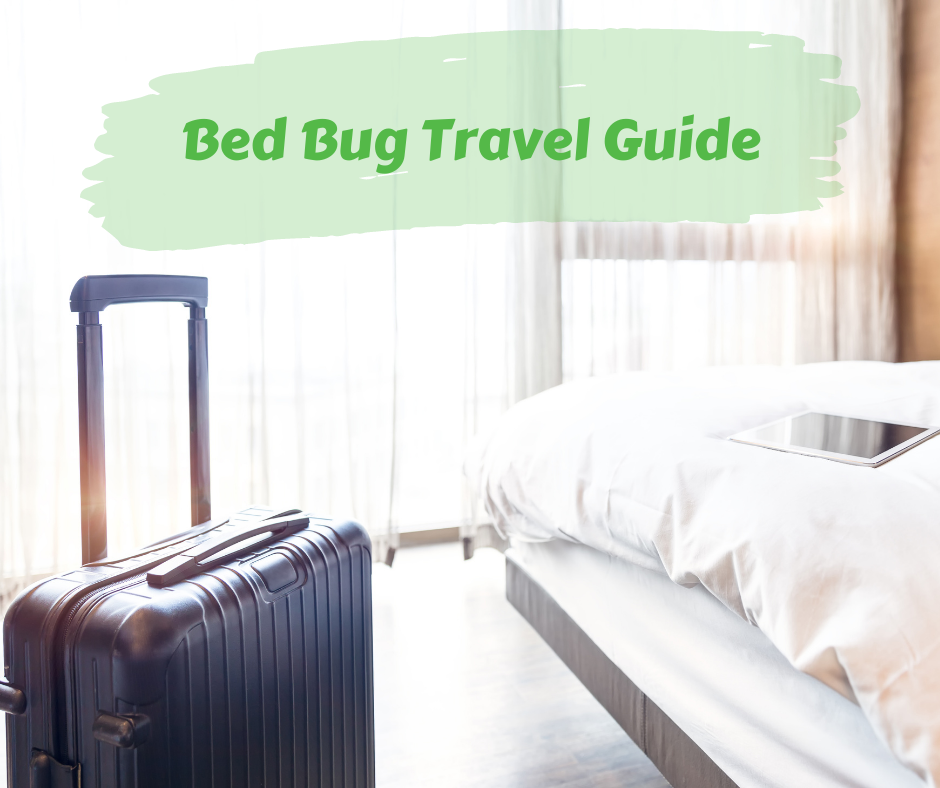 Bed Bug Travel Guide – Maggie's Farm Ltd