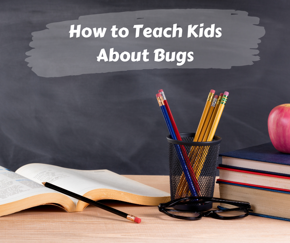 How to Teach Kids About Bugs – Maggie's Farm Ltd