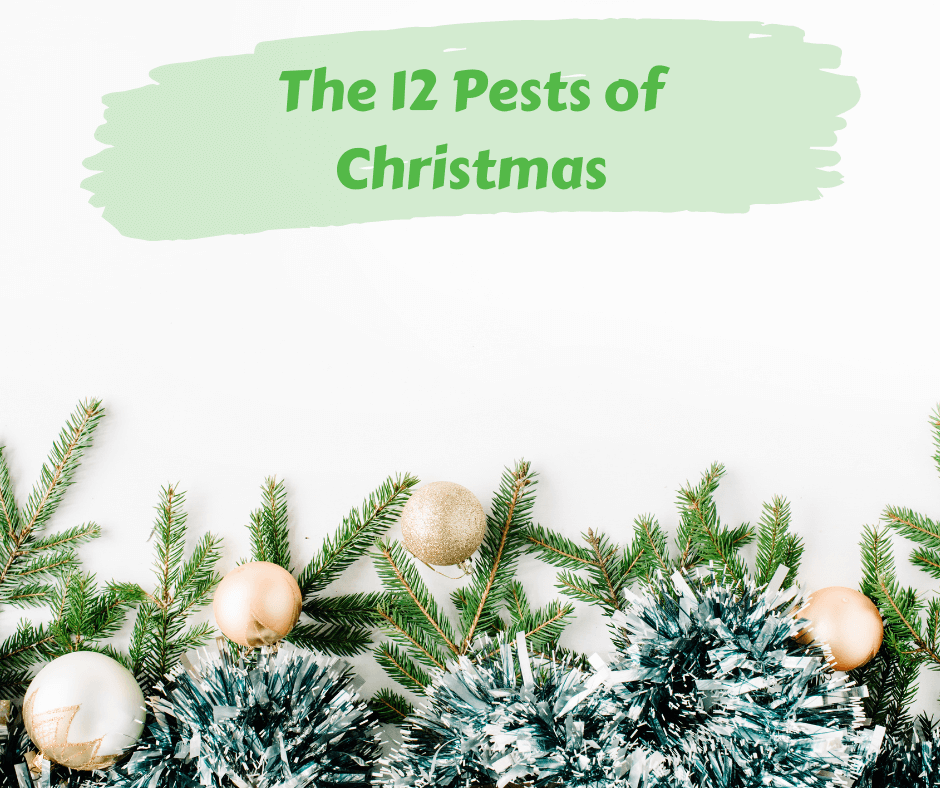 The 12 Pests of Christmas – Maggie's Farm Ltd