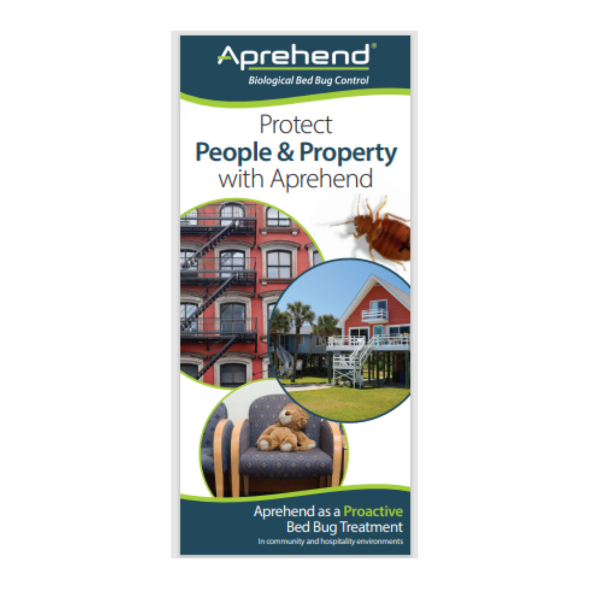 Aprehend® Proactive Treatment Brochures (Pack of 50) – Maggie's Farm Ltd