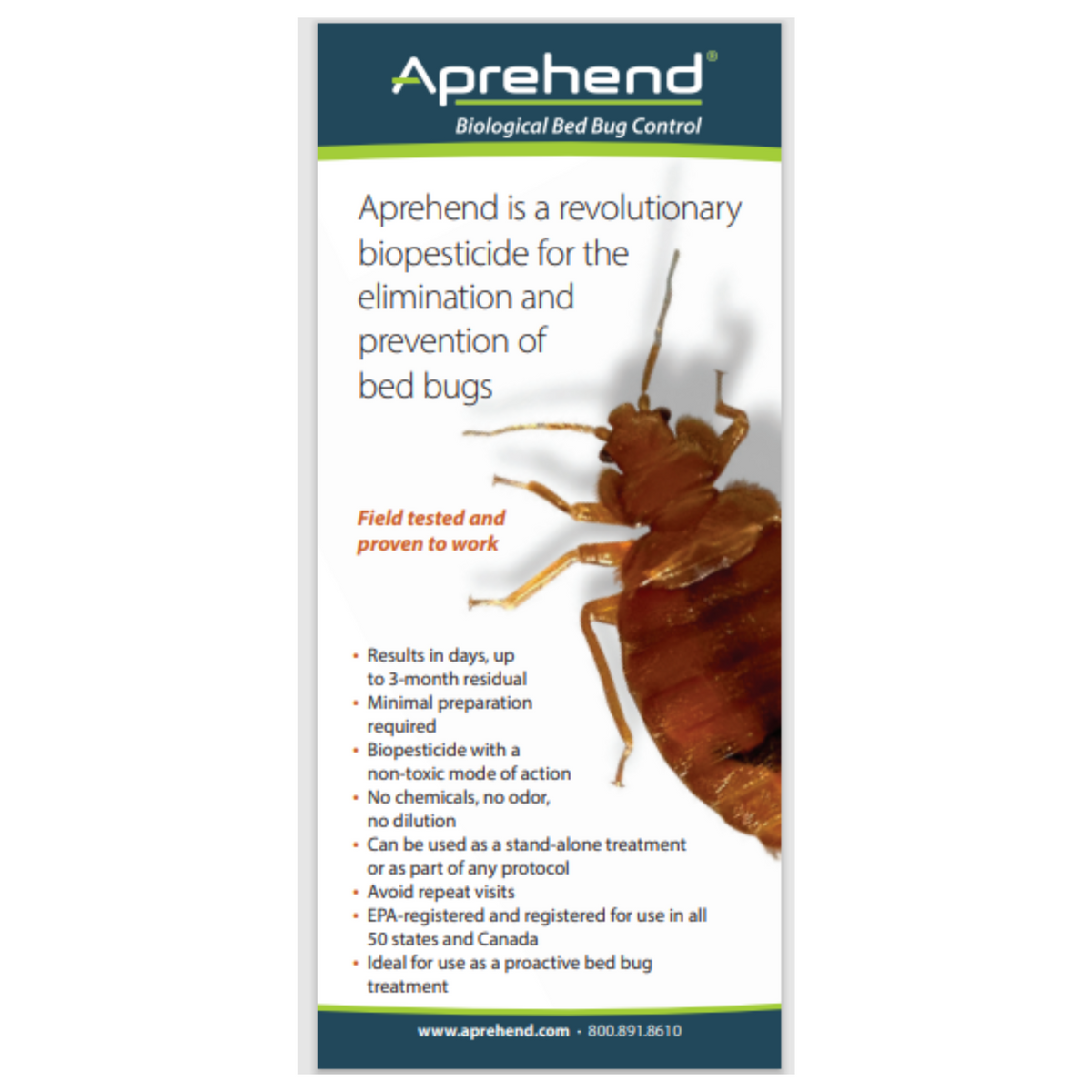 Aprehend Intro Brochures (Pack of 50) – Maggie's Farm Ltd