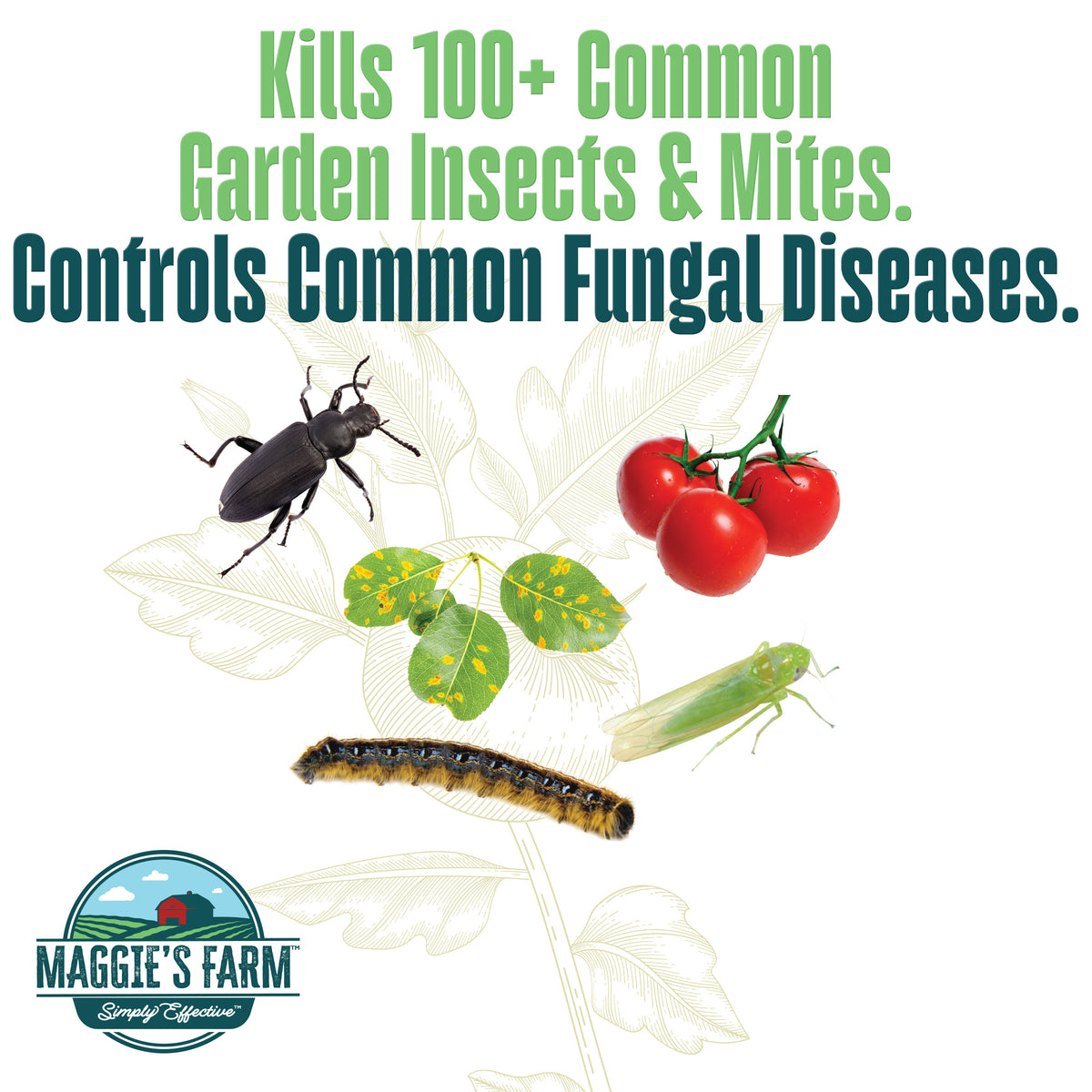 Vegetable Garden Insect & Disease Control – Maggie's Farm Ltd