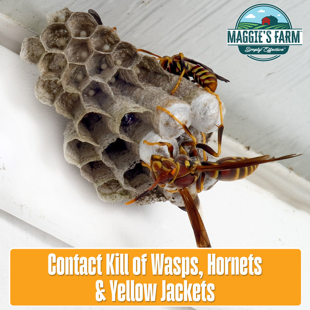 Simply Effective Wasp & Hornet Killer – Maggie's Farm Ltd